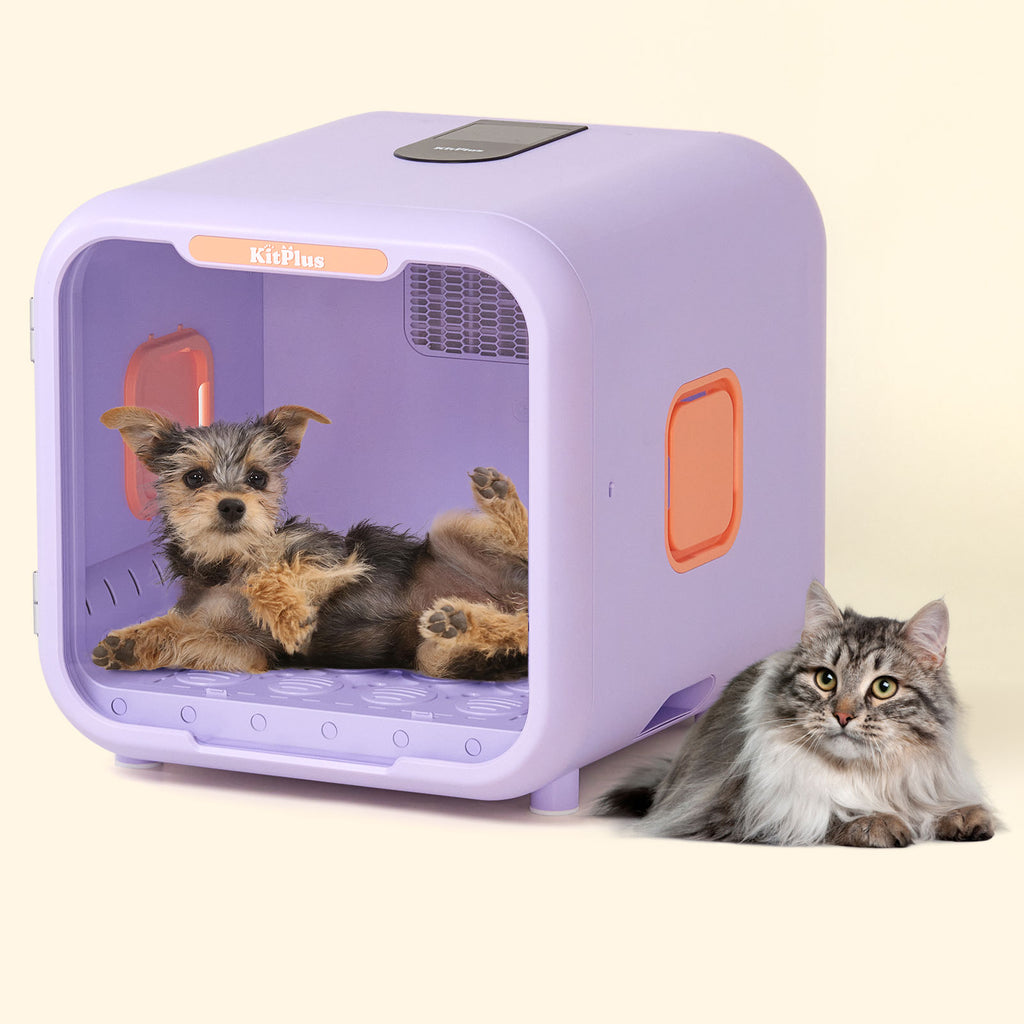 Products – KITPLUS PET